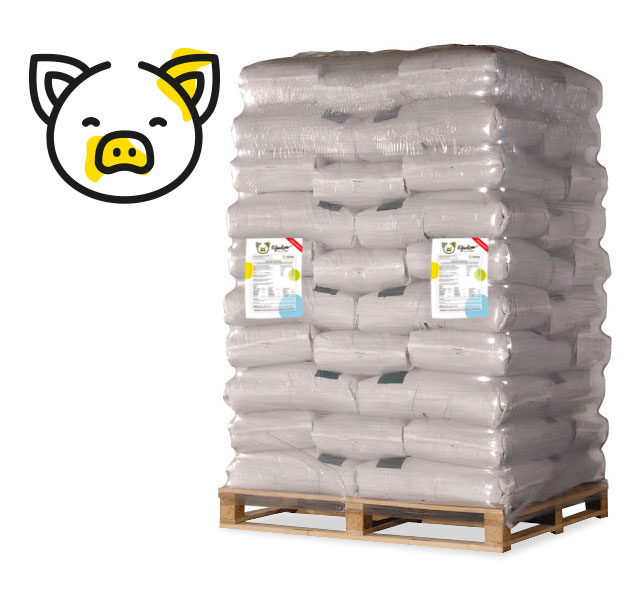 Pienso ecológico cerdos crecimiento. Bifeedoo